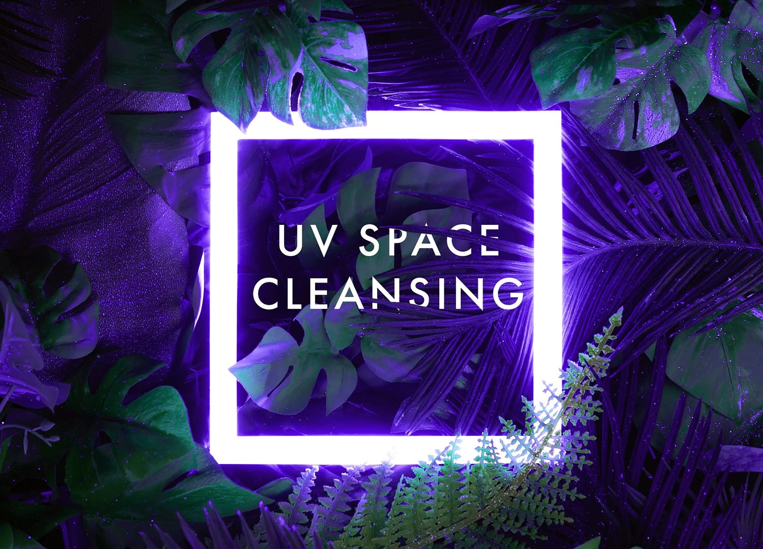 UV Space Cleansing: Is it Real and Is it Safe? | IA